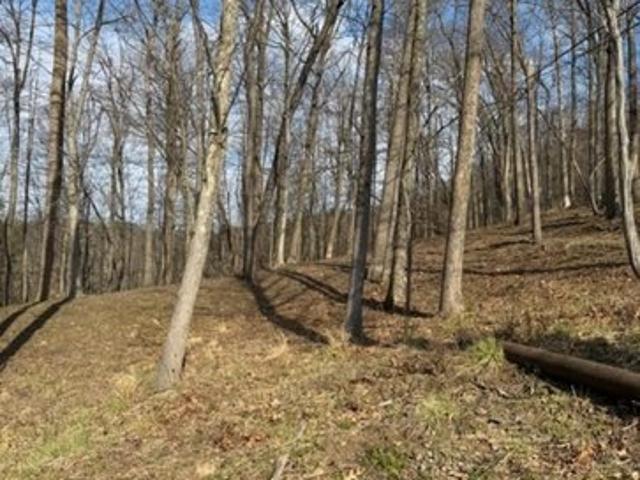 Windsor Rd, Bridgeport, WV 26330