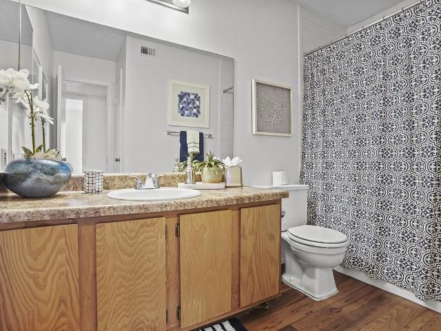 Windsail Apartments 1 Bedroom Apartment for Rent at 9808 E 73rd St, Tulsa, OK 74133