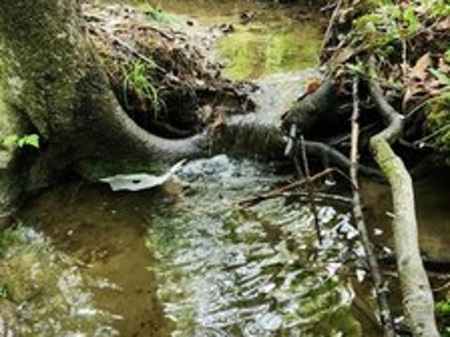 Windstone Dr, Sequatchie, TN 37374
