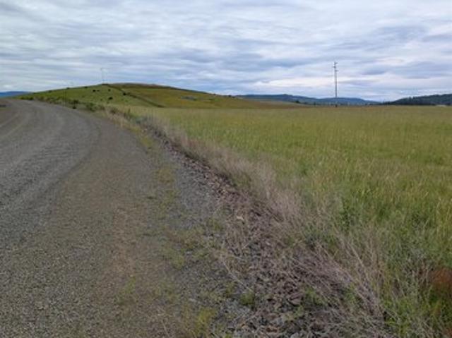 Windrow Ln and Stillwater Rd, Grangeville, ID 83539