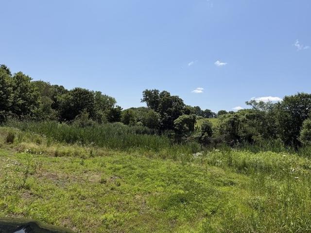 Wine Rd, New Braintree, MA 01531