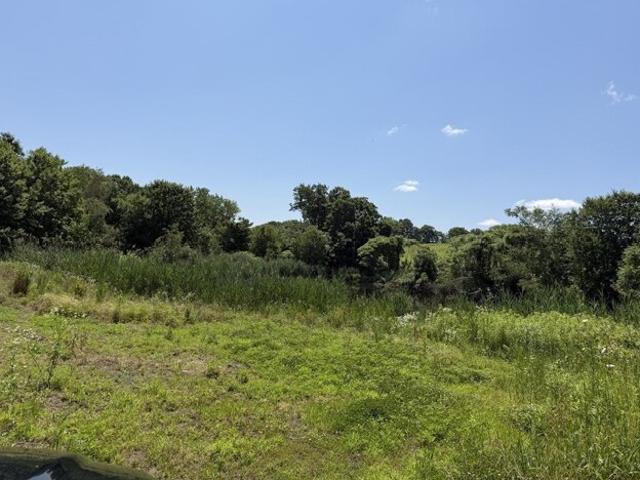 Wine Rd, New Braintree, Plot For Sale