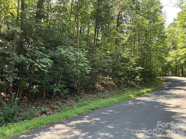 Winesap Blvd Lot 77, Lake Lure, NC 28746