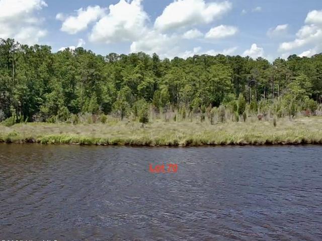 Winfield Ln Lot 70, Belhaven, NC 27810