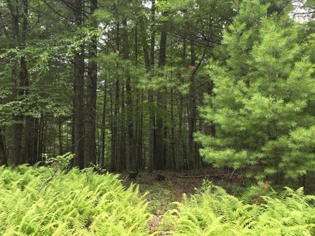 Winfield Rd Lot 4, Rowland, PA 18457