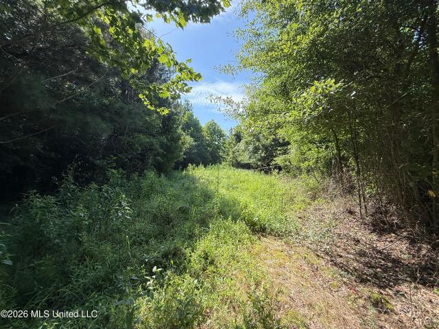 Winfry Road, Kilmichael, MS 39747