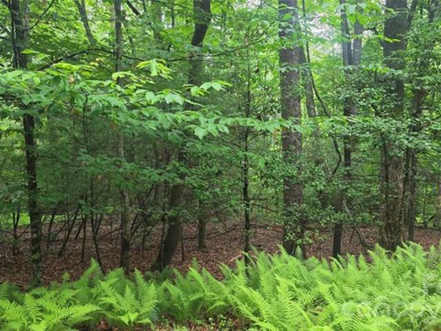 Wingfield Way, Brevard, NC 28712