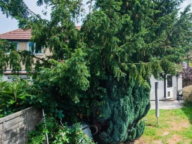 Winn Road, London, SE12 9NF, United Kingdom | 2 bed apartment for rent #30043346 | Rentberry