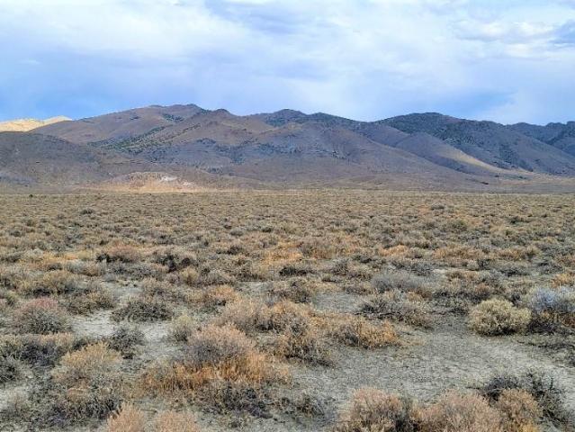 Winnemucca NV 89445 LS58753198