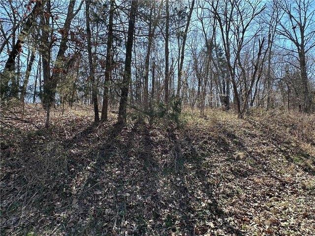 Winsford Cir Lot 6, Bella Vista, AR 72715