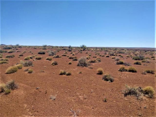 Winslow Holbrook AZ 86032 LS58994509