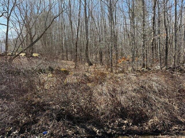 Winslows Mills Rd, Waldoboro, Plot For Sale