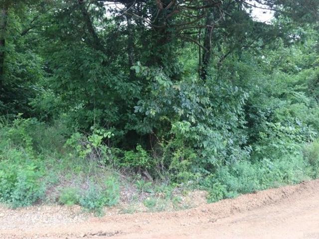 Wickham Rd, Mountain View, AR 72560