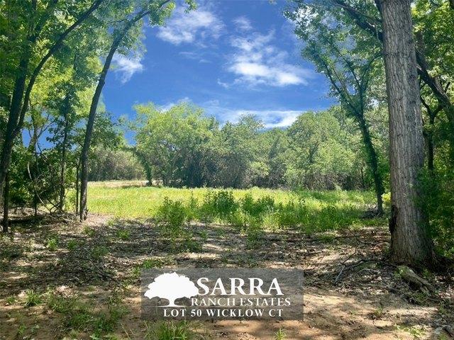Wicklow Ct Lot 50, Poolville, TX 76487