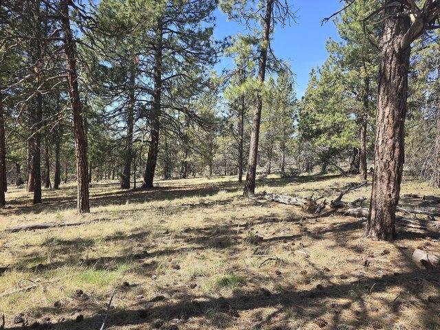 Widgeon Dr Unit 39, Bonanza, OR 97623