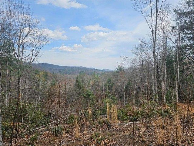 Widow Mountain Dr Lot 2, McGrady, NC 28635