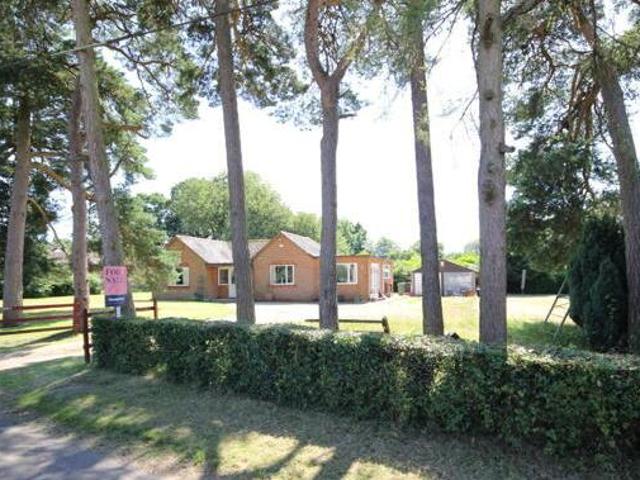 Wield Road, Medstead, 3 Bedroom Detached
