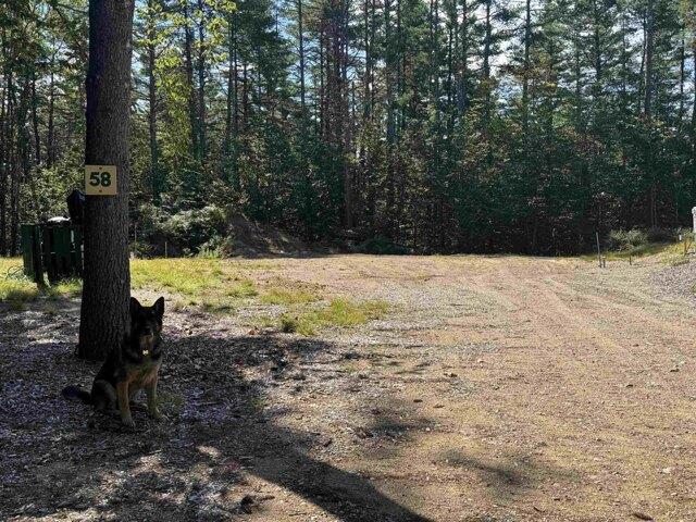 Wiggin Ln, Tamworth, Plot For Sale