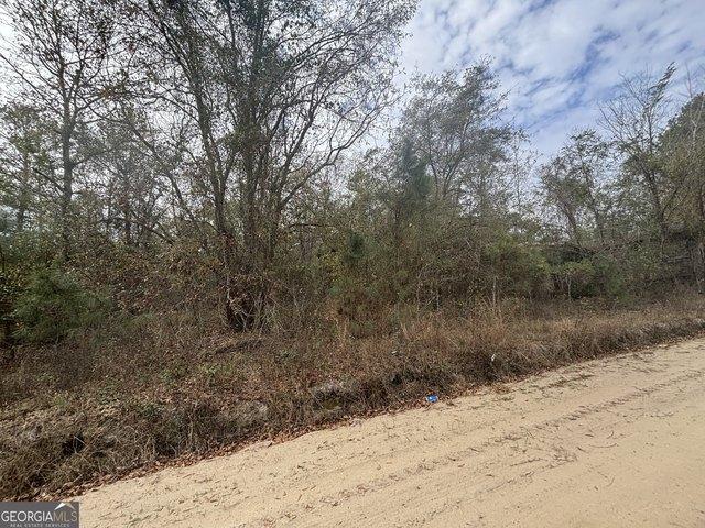 Wiggum Rd Parcel A and St James Rd, Cochran, GA 31014
