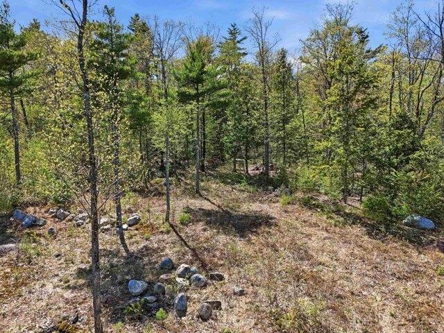 Wilton NH 03086 102257226