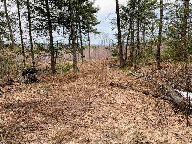 Wilton NH 03086 LS101747817