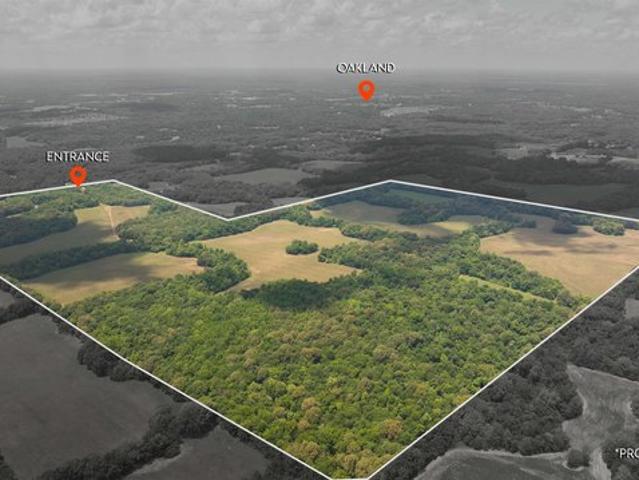 Wilbourne Rd, Oakland, TN 38060