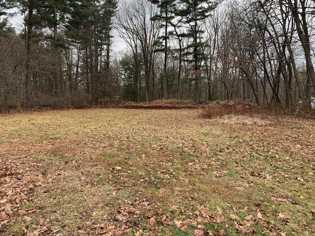 Wilbraham MA 01095 LS101707289