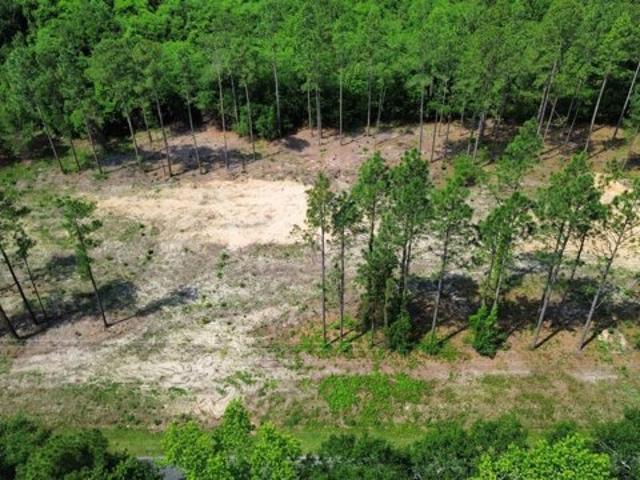 Wilbur Pridgen Rd Lot,harrells, Plot For Sale