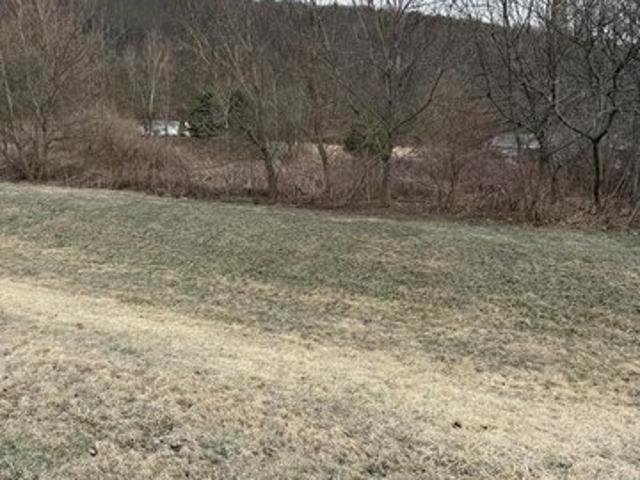 Wilcox Estate Dr, Waverly, NY 14892