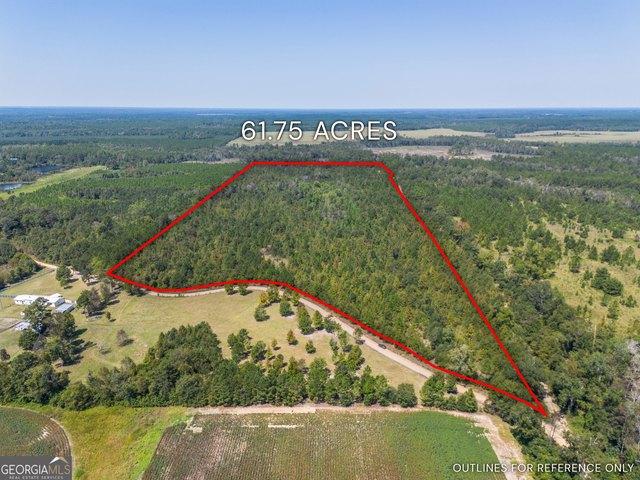 Wilcox Ln, Rhine, GA 31077