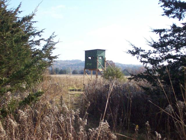 Wilcox Road