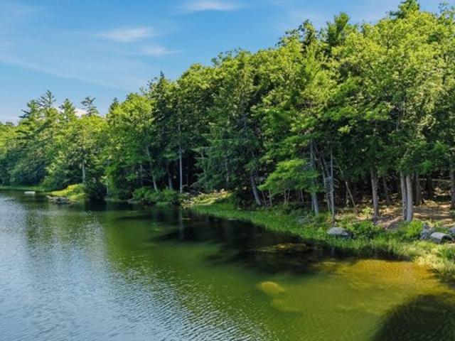 Wild Acre Dr, Washington, Home For Sale