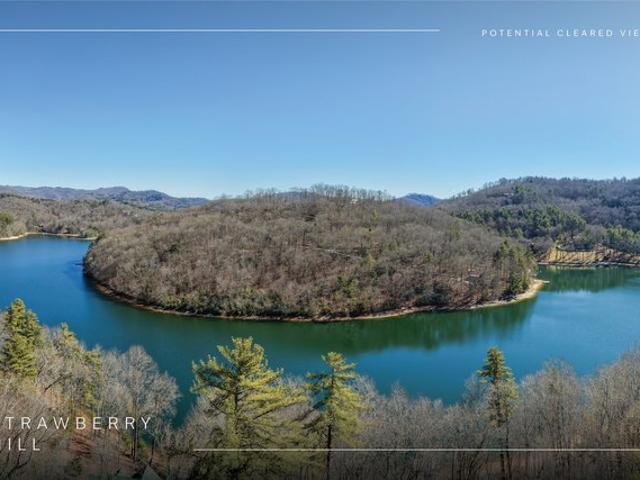 Wild Blackberry Rdg Lot 33, Cullowhee, NC 28723