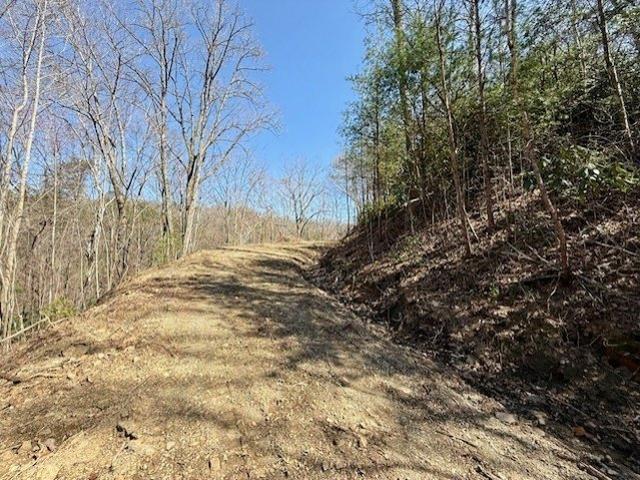 Wild Laurel Lot 3, Brasstown, NC 28902