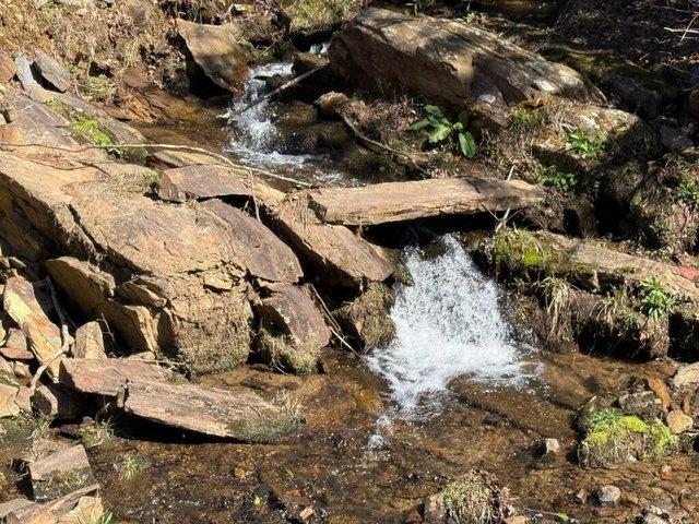 Wild Laurel Lot 5, Brasstown, NC 28902