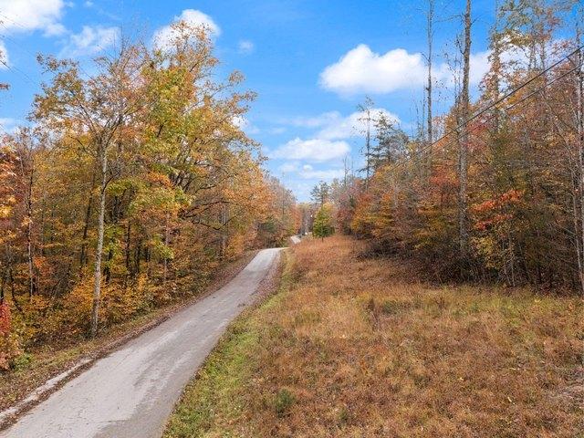 Wild Ridge Rd, Morehead, KY 40351