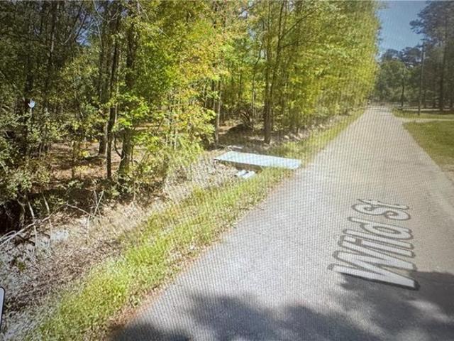 Wild St Lot 98B1A, Springfield, LA 70462