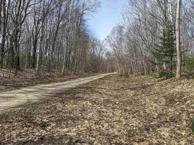 Wild Woods Ct Lot 417, Beaver Island, MI 49782