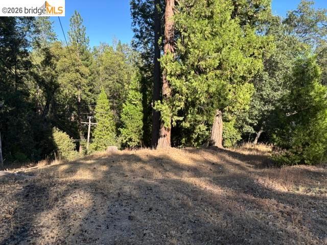 Wildcat Ridge, Sonora CA 95370