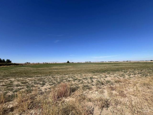 Wilder ID 83676 87423129