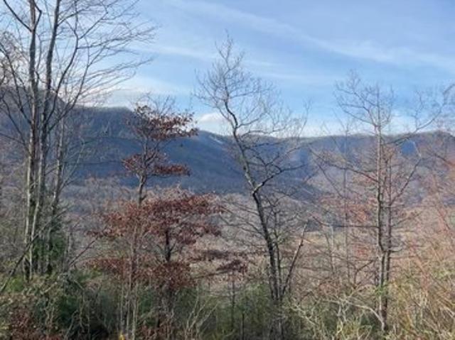 Wilderness Dr Lot 51B, Marion, NC 28752