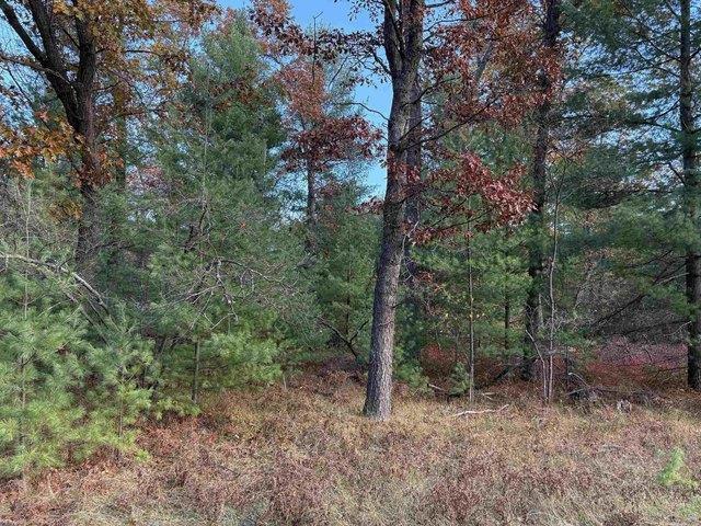 Wilderness Dr Lot 99, Alger, MI 48610