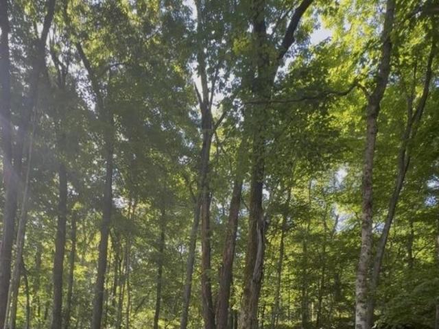 Wilderness Dr Lots 140 & 141, Mammoth Cave, KY 42259