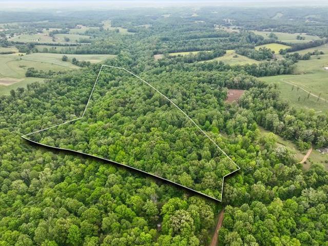 Wilderness Ln, Lafayette, TN 37083