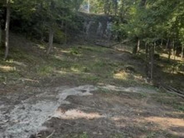 Wilderness Rd Lots 136 & 137, Mammoth Cave, KY 42259