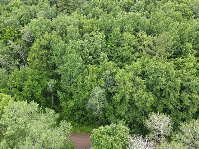 Wilderness Retreat Lot 5, Pine City, MN 55063
