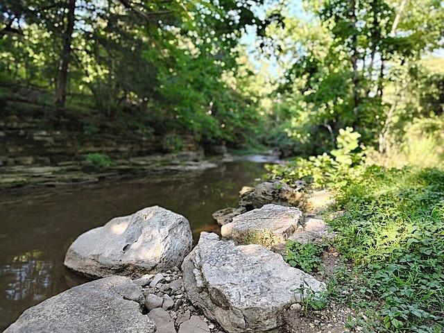 Wilderness Spring Trail