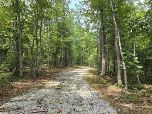 Wilderness Trl, Oneida, TN 37841
