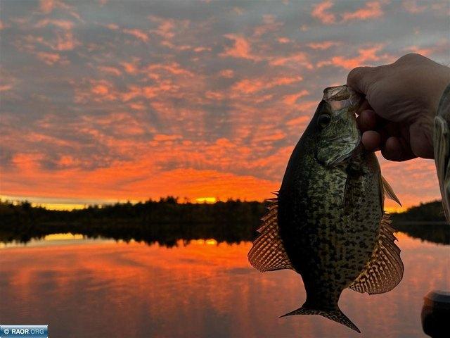 Wilderness Way, Cook, MN 55723