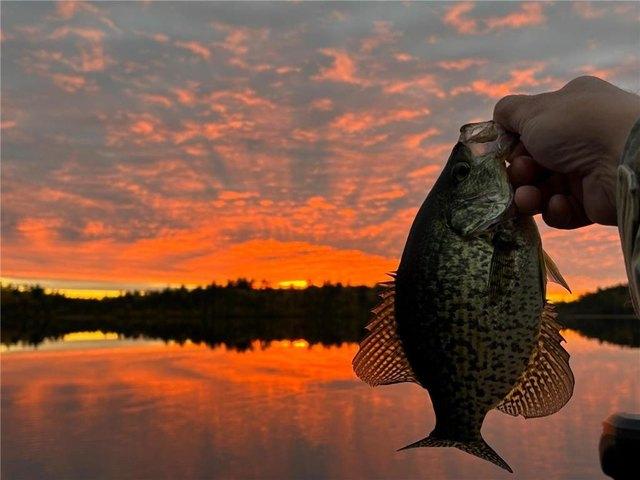 Wilderness Way, Cook, MN 55723